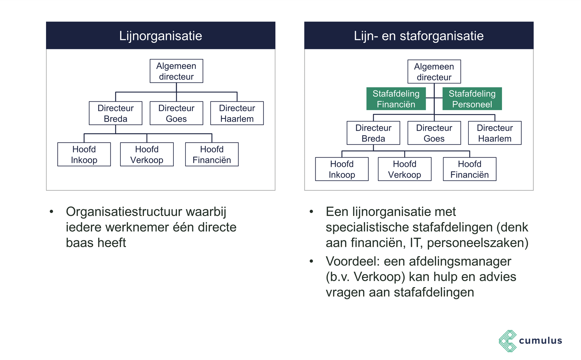 Cumulus | Bedrijfseconomie: Organogram